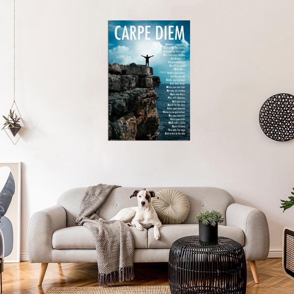 64707 CARPE DIEM INSPIRATIONAL QUOTES Wall Decor Print Poster | eBay
