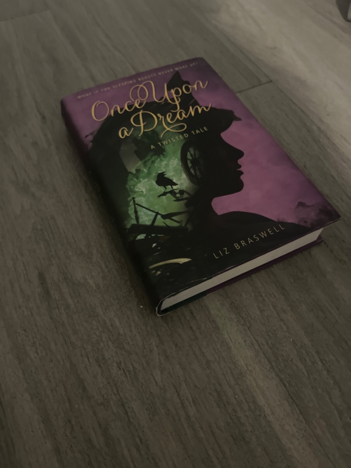 A Twisted Tale Ser.: Once upon a Dream (a Twisted Tale) : A Twisted ...