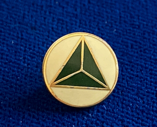 Vintage Delta Sigma Phi Fraternity Pledge Pin | eBay