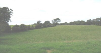 Photo 6x4 View across pasture land north of Coed Plas Llanddyfnan ...