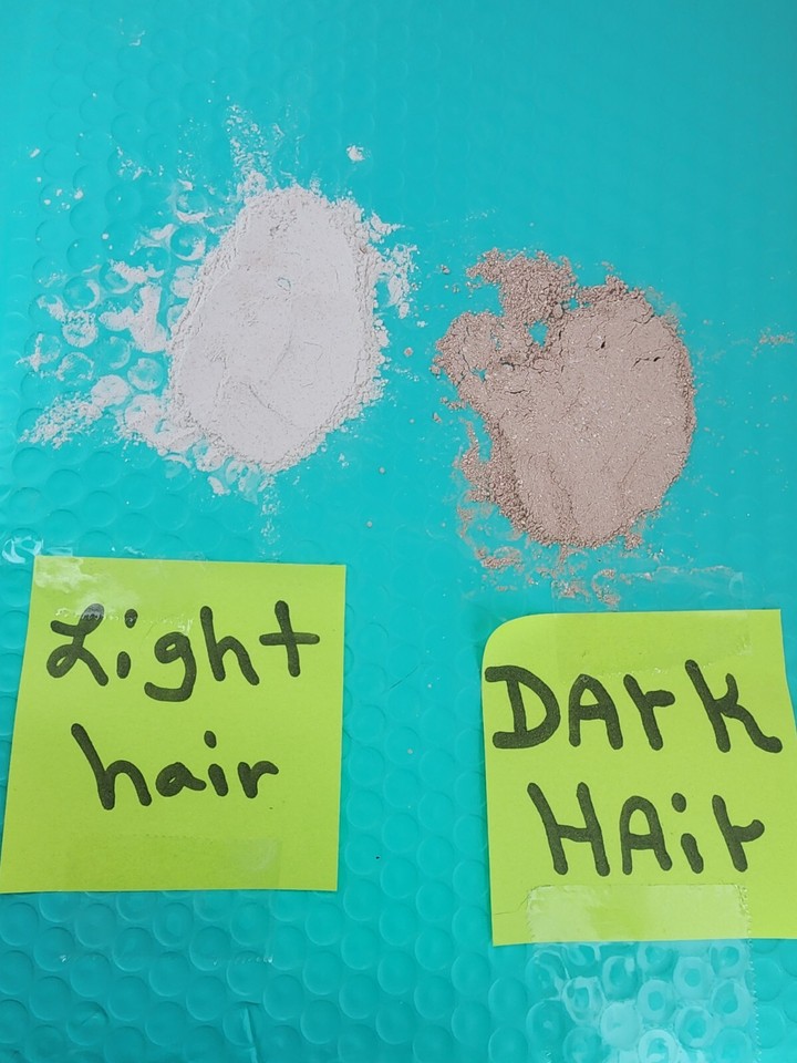 Dry Shampoo Powder | For Oily Hair | Absorbs Oil 3.5 Oz | eBay