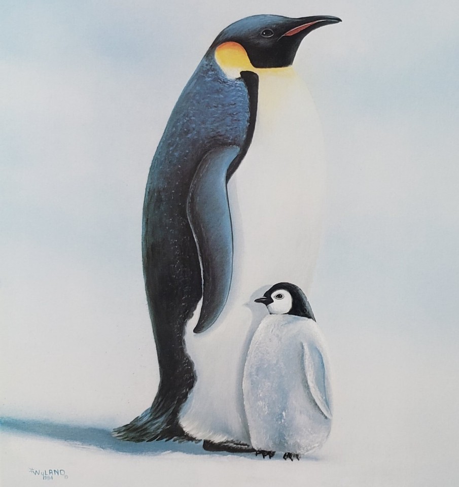 Robert Wyland Penguins Emperor Penguin Arctic Animals Cute baby bird ...