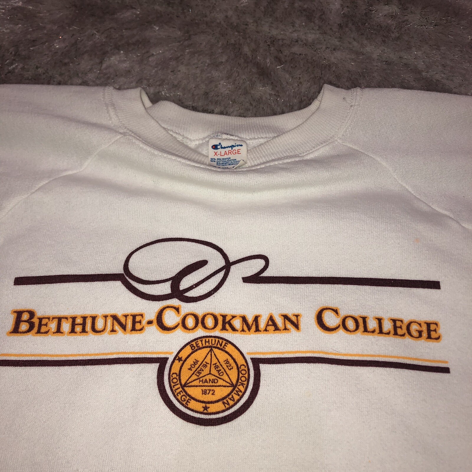 Vintage 1980’s Champion Bethune Cookman College WILDC… - Gem