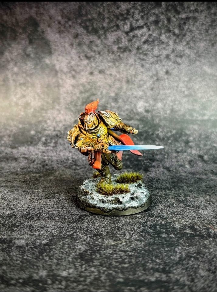 2000 Point Adeptus Custodes Army Pro Painted Warhammer 40k Made-To ...