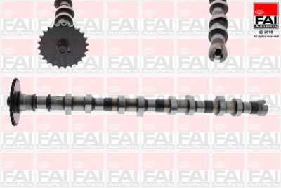 FAI AutoParts C387 Camshaft for HYUNDAI KIA | eBay