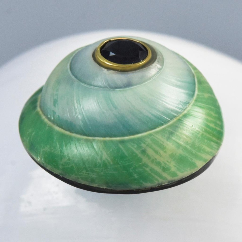 Evil Eye Design Natural Green Land Snail Asperitas bimaensis Black ...