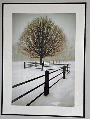 Solitude by David Lorenz Winston. Art Print Tree Landscape 33x24 | eBay