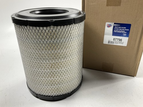 Carquest 87796 Air Filter Replaces Mitsubishi ME01724, ME423130 ...