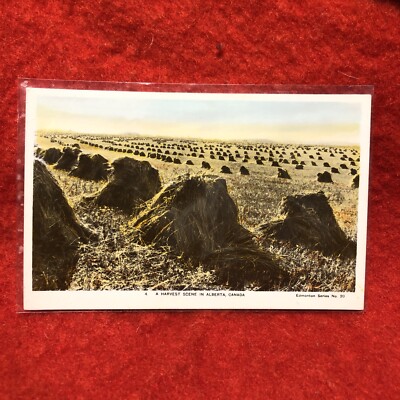 Postcard Canadian Harvesting Scenes Alberta Rare | eBay
