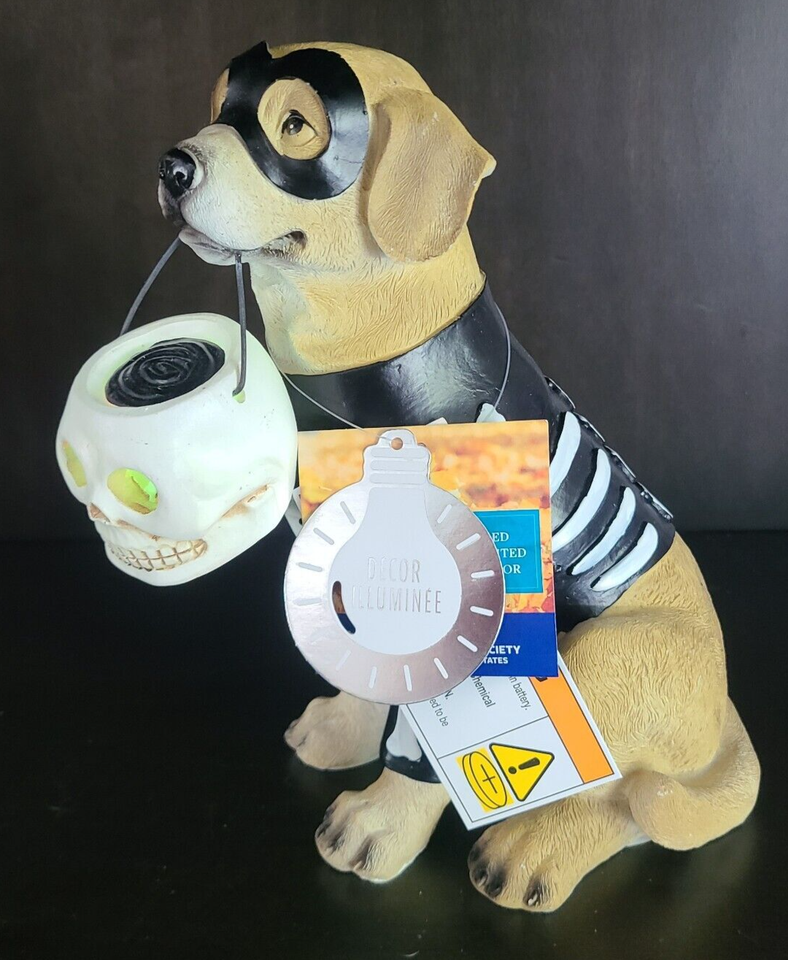 The Humane Society Trick Or Treating LABRADOR Dog Light Up Skull ...