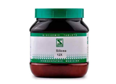 Willmar Schwabe India Silicea 12X (550g) | eBay