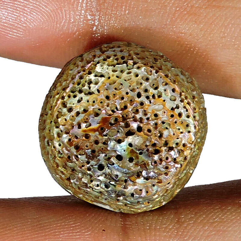 22.40 Ct Natural Fossil Abalone Shell Cabochon Gemstone | eBay