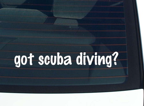 got scuba diving? CAR DECAL BUMPER STICKER VINYL FUNNY JOKE WINDOW | eBay
