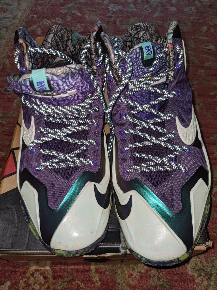 Lebron 11 All Star Box