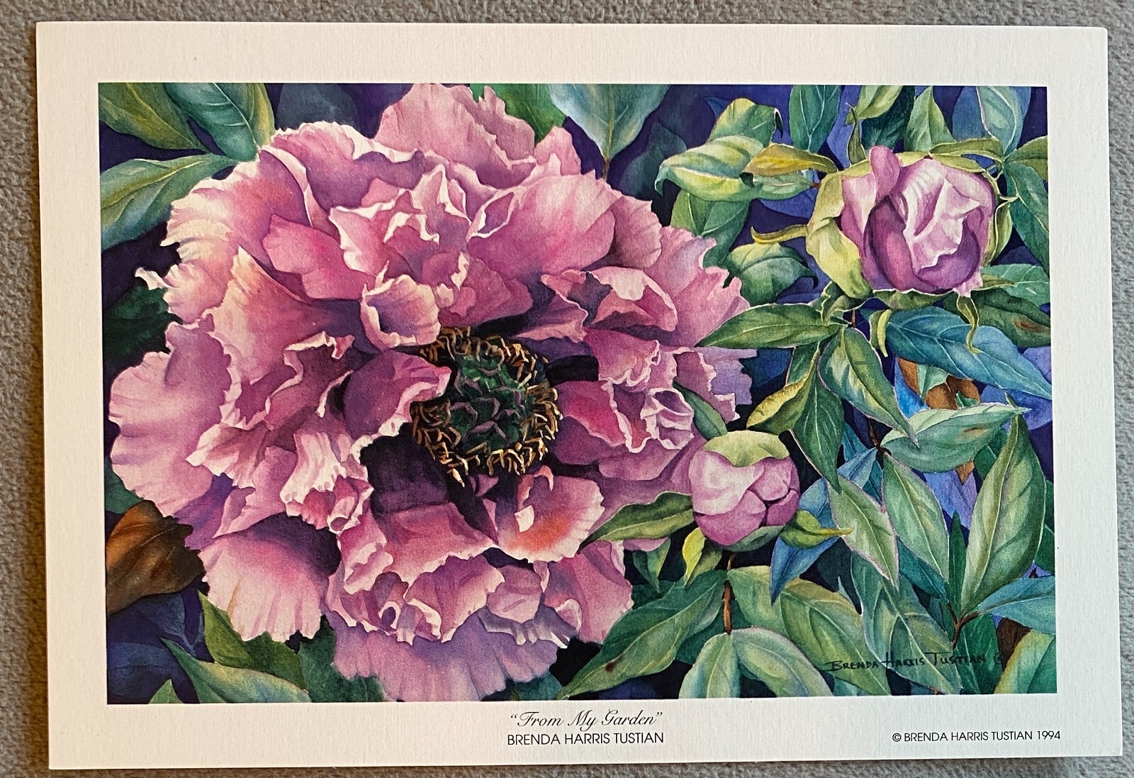 Brenda Harris Tustian ~ From My Garden ~ Lithograph Print ~ NOT Signed ...