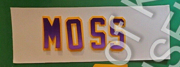 Miami Dolphins UNSEWN Nameplate Namebar for your NFL Jersey - Any ...