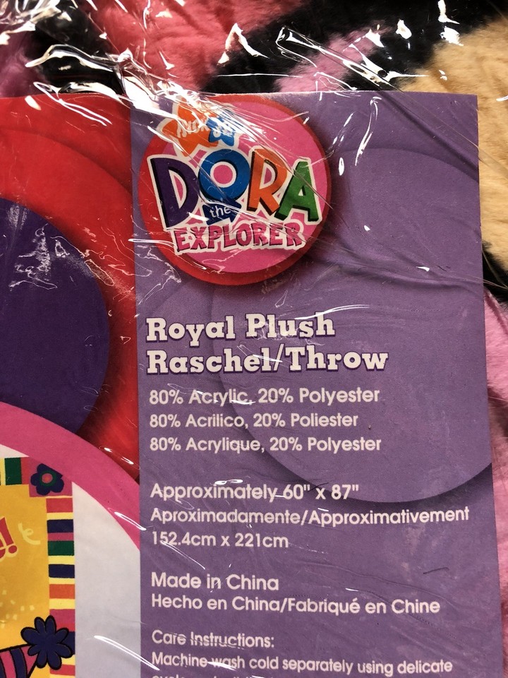 BRAND NEW OFFICIAL NICKELODEON DORA THE EXPLORER TWIN SIZE ACRYLIC ...