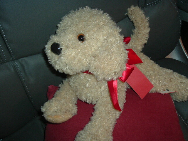 Travis Golden Dog (Medium size) by Douglas | eBay