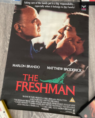 THE FRESHMAN - 20 20 VISION - ORIGINAL VIDEO SHOP POSTER - 23x17in ...