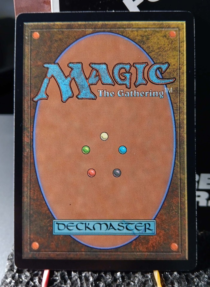 MTG Wrenn and Realmbreaker 217 Foil Showcase March of the Machine MTG ...