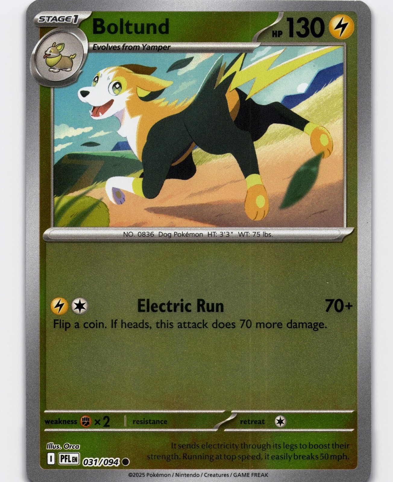 Boltund 031/94 | Common Card | Phantasmal Flames