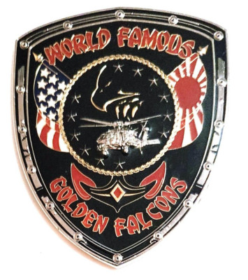 Awesome 2" USN Navy FCPOA Challenge Coin HSC-12 "Golden Falcons" | eBay