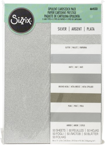 Sizzix Surfacez Opulent Cardstock Pack 8"X11.5" 50/Pkg-Silver 664533 | eBay
