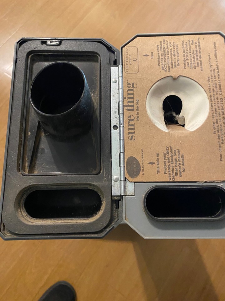 Electrolux Prolux Heavy Duty Commercial upright vac. Tested works | eBay