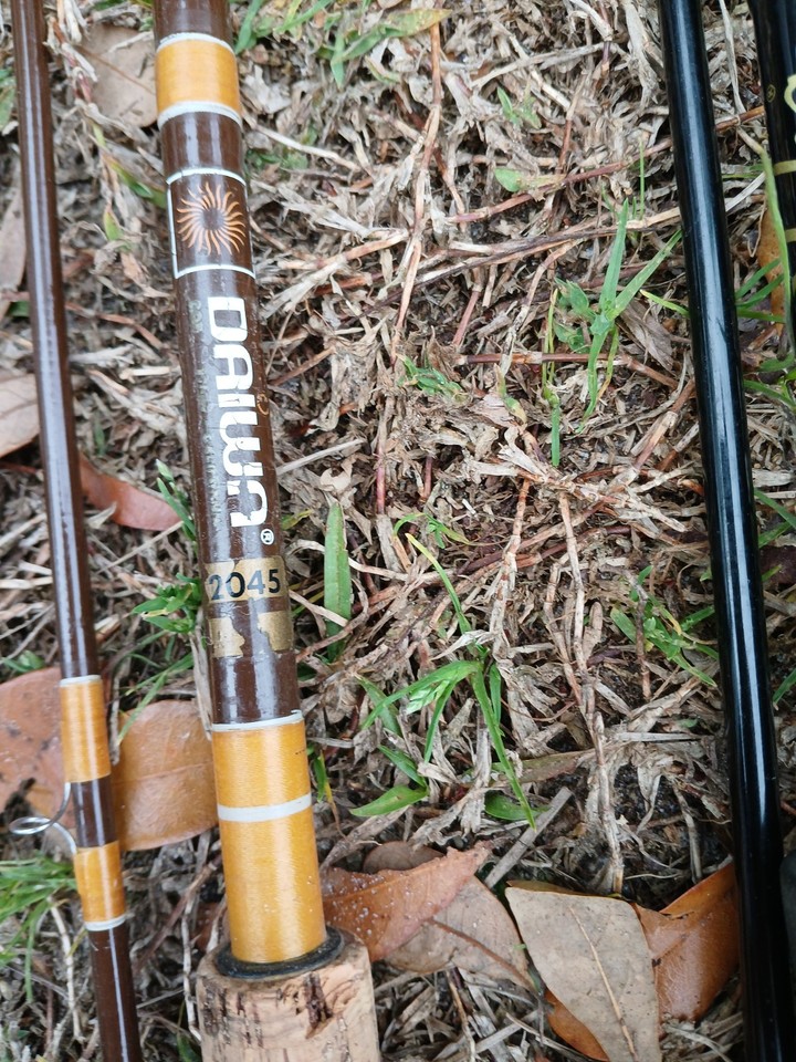 3 FLY RODS White River Dogwood Canyon ,Shakespear Alpha, and Dywa 2045 ...