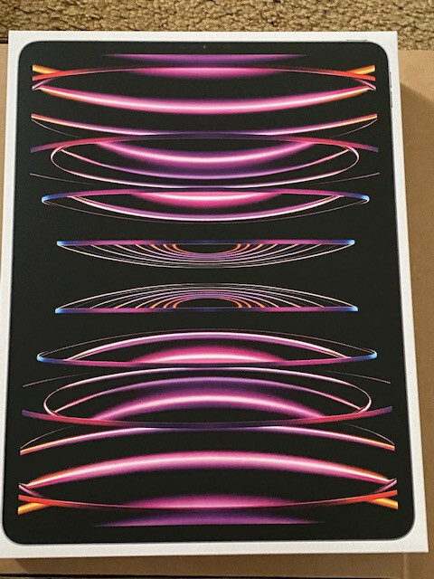 Apple iPad Pro 6th Gen. 256GB, Wi-Fi, 12.9in - Space Gray for sale ...