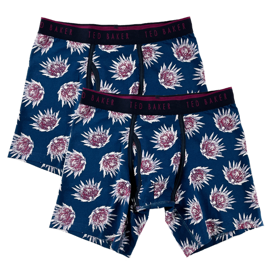Ted Baker Men's Boxer Briefs 2-Pack Print Cotton Stretch Keyhole Fly ...