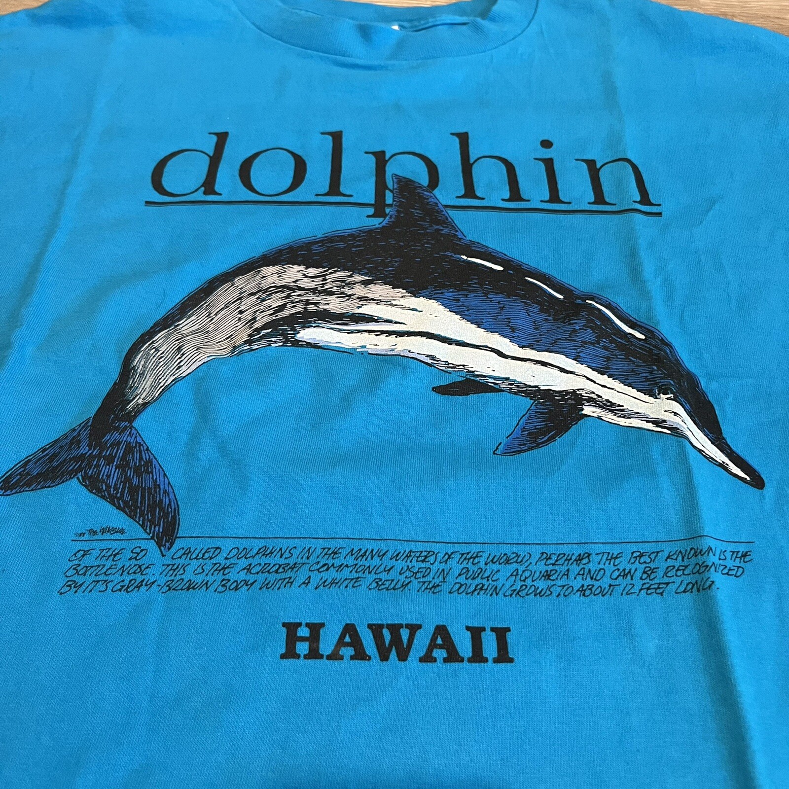 Vintage Hawaii Dolphin Looney Tunes T-Shirt 1997 Ocea… - Gem