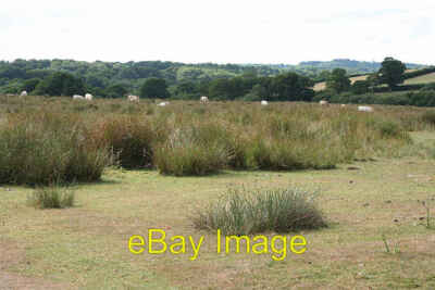 Photo 6x4 Sampford Courtenay: by Dornaford Cross Belstone Corner ...