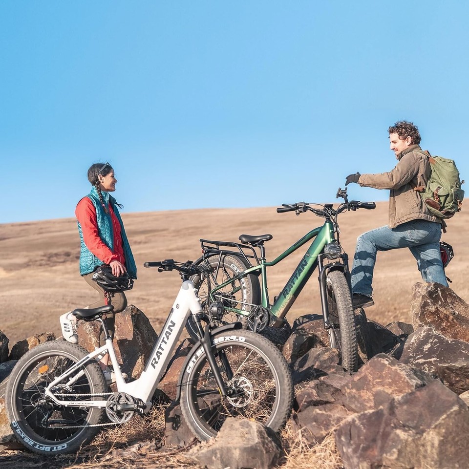 Rattan Pathfinder Electric Bike Peak 1500w 48V/15AH 26'' 4.0 Fat Tire E ...