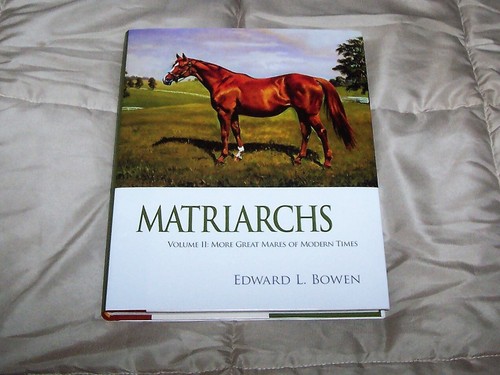 THOROUGHBRED Race Horse Book BREEDING * BLOODLINES * BLUE HEN MARES ...