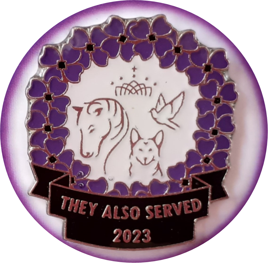 PB23 - PURPLE POPPY PIN BADGE 2023 FROM MURPHY'S ARMY - OFFICIAL ...