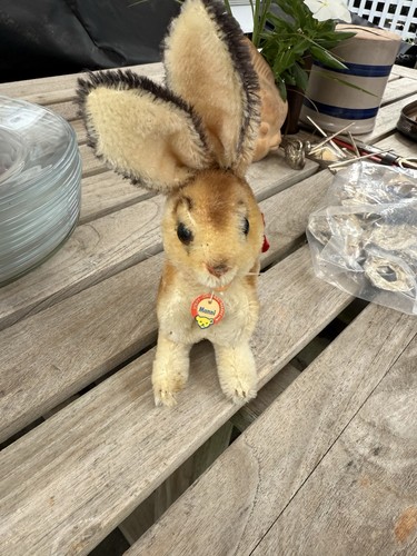 Steiff Original Manni Rabbit | eBay