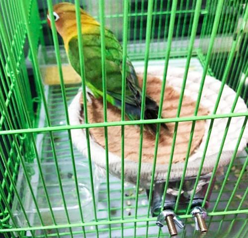 Handmade Hemp Rope Bird Breeding Nest Bed for Budgie Parakeet Cockatiel ...