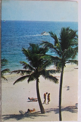 Florida FL Sunny Weather Postcard Old Vintage Card View Standard ...