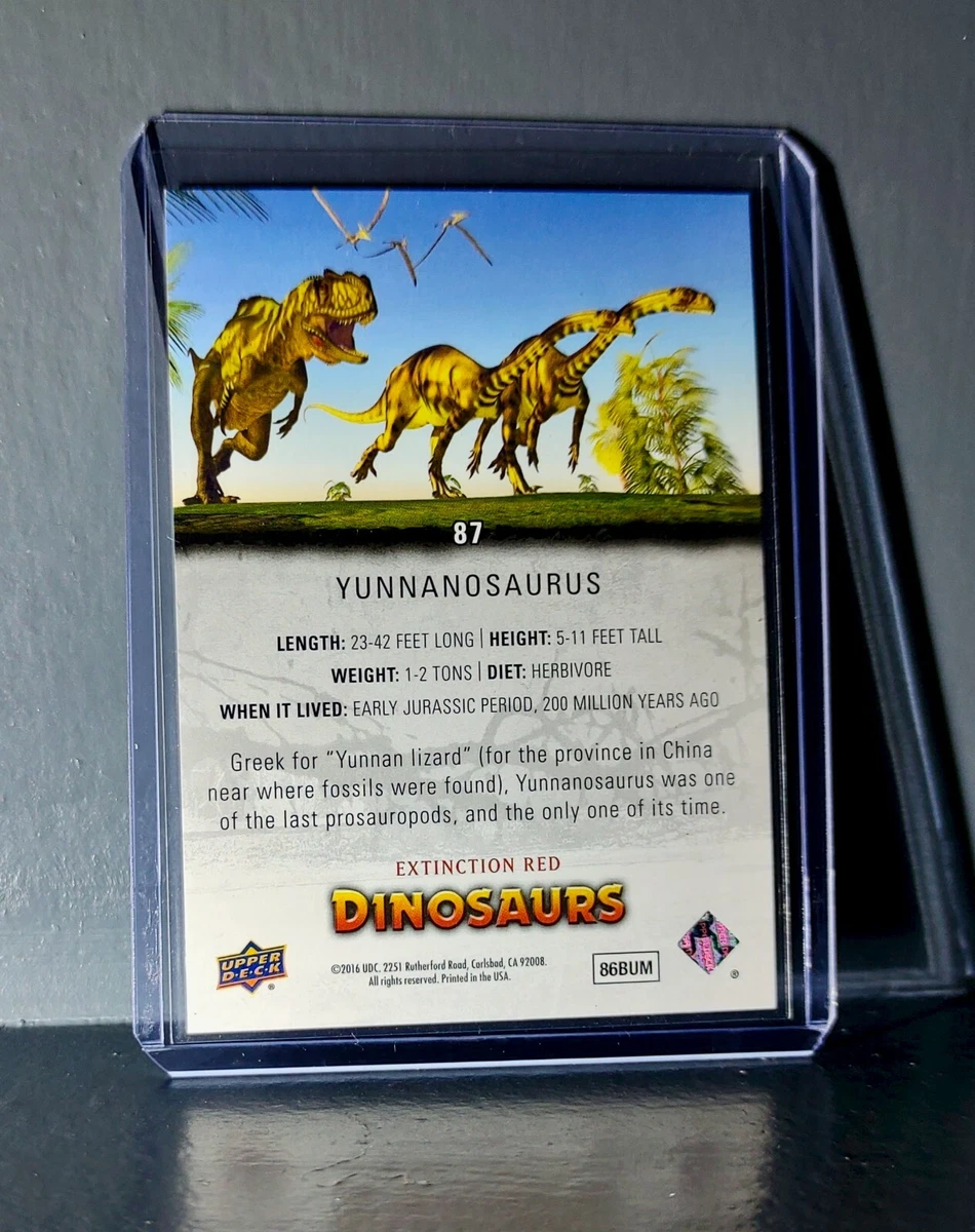 Yunnanosaurus