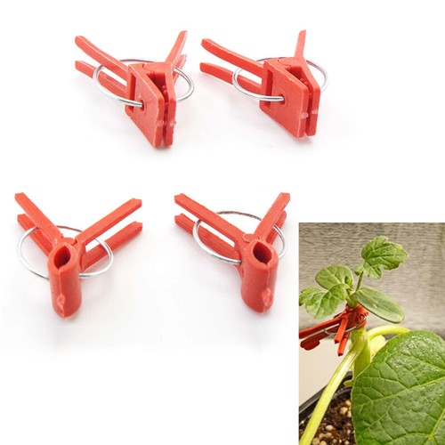 Garden Graft Clip Plastic Plant Support Clips Anti-fall Clamps For Vine ...