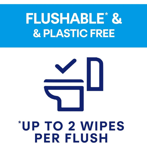 Andrex Ultimate Fresh Washlets Flushable Toilet Wipes, Pack of 12 ...