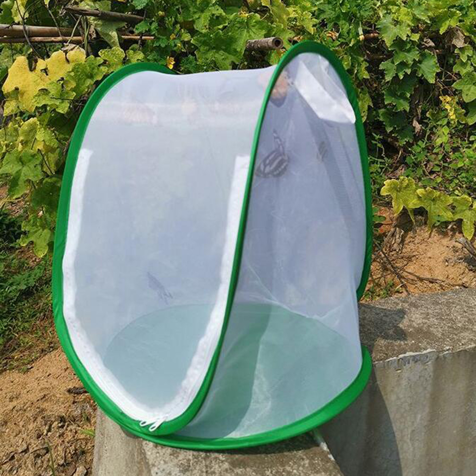 Insect Mesh Cage Collapsible Reusable Butterfly Mesh Terrarium Portable ...