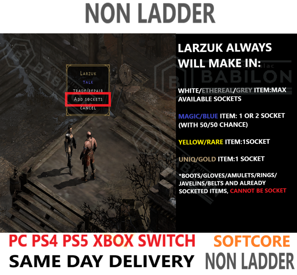 PC PS4 PS5 XBOX SWITCH LARZUK SOCKET QUEST LD/NL DIABLO 2 RESURRECTED ...