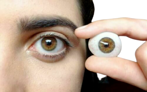 Prosthetic Eye Dark Unique Brown Shade Artificial Eye 1 Piece In ...