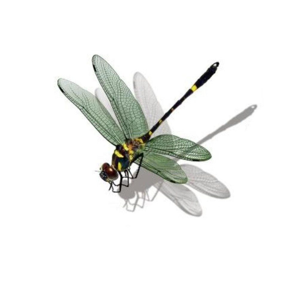 3D Insect Car Stickers Dragon Fly Decals Car | Vinyl NEW~ Decal For Car ...