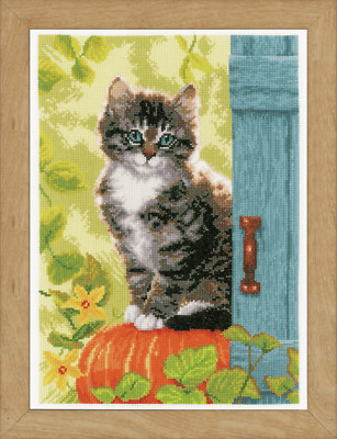Vervaco Counted Cross Stitch Kit: Cat & Pumpkin | eBay UK