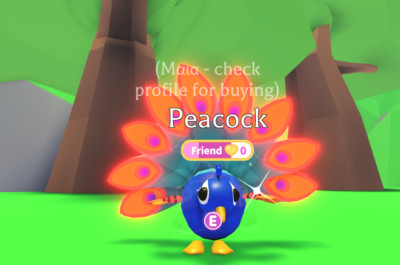 Adopt A Pet from Me - Mega Fly Ride Peacock - *SAME DAY DELIVERY* | eBay
