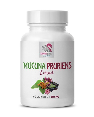 velvet beans dried - MUCUNA PRURIENS EXTRACT - velvet beans mucuna ...