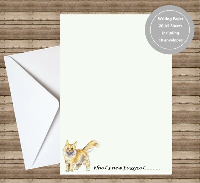 Maine Coon Ginger Cat Writing Note Paper With Envelopes Handmade Craft ...